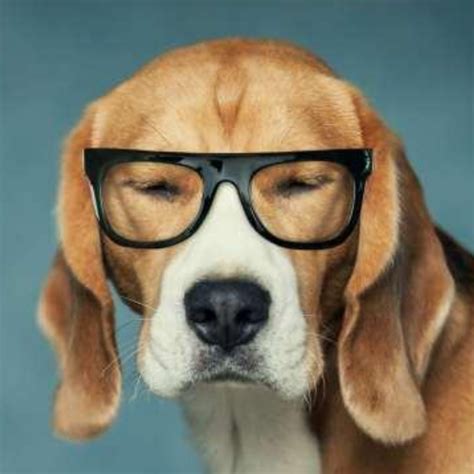 张含宇 · 复星集团 · Currentvc