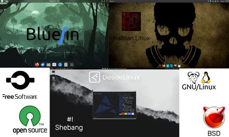 Le Migliori Nuove Distribuzioni Linux Bsd Da Riconoscere Nel 2025