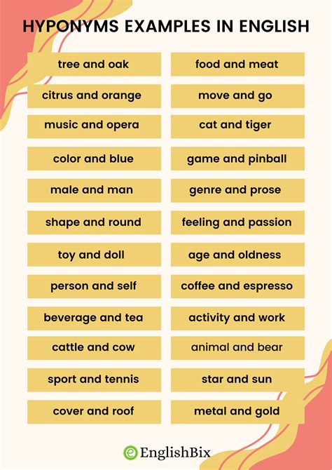 Examples Of Hyponyms In English Englishbix