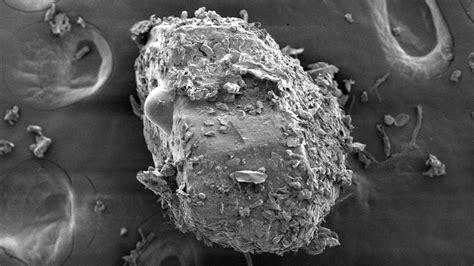 What Does Dust Look Like Under A Microscope