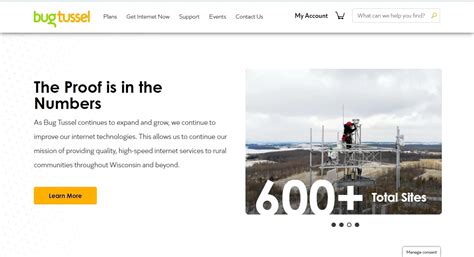 Website Design And Development For Bug Tussel Web Excellence Awards
