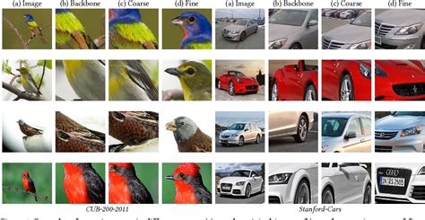 Ly Supervised Fine Grained Recognition With Partial Label Learning At Antonio Christie Blog