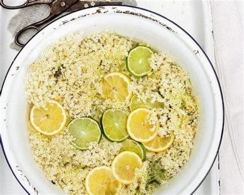 Easy Elderflower Cordial Recipe Delicious Magazine