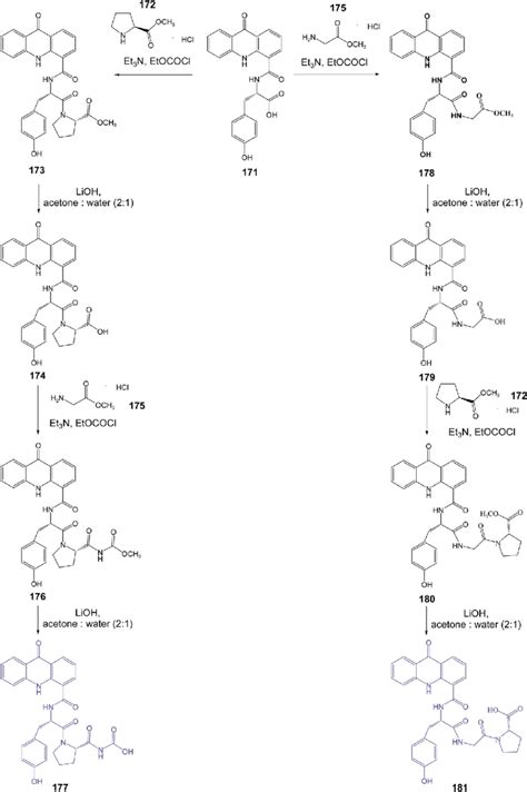 Scheme 29 Synthesis Of The Dipeptide Derivatives Of Acridone 177