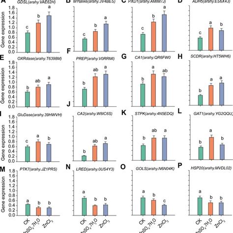 Validation Of Gene Expression In Differentially Expressed Genes For