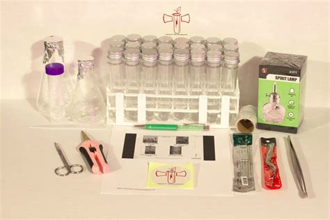 Cannabis Tissue Culture Kit Plant Tissue Culture Micropropagation Diy Etsy