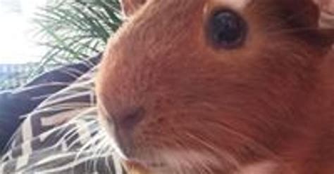 Holly Jane Pelling Mixcloud