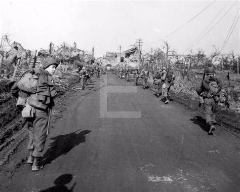 26 Best 104th Infantry Division Timber Wolf U S Army Images On