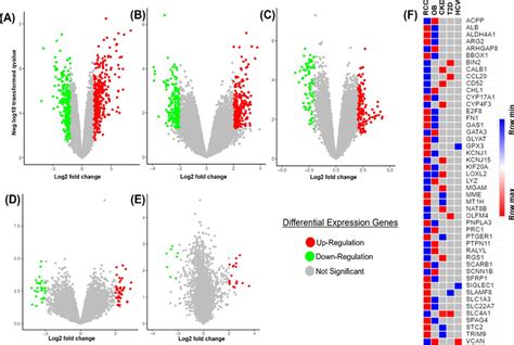 Volcano Plot And Heat Map Of All Significant Degs Identified In This