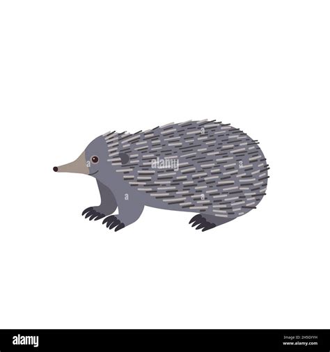 Cute Cartoon Echidna Isolated On White Background Hand Drawn