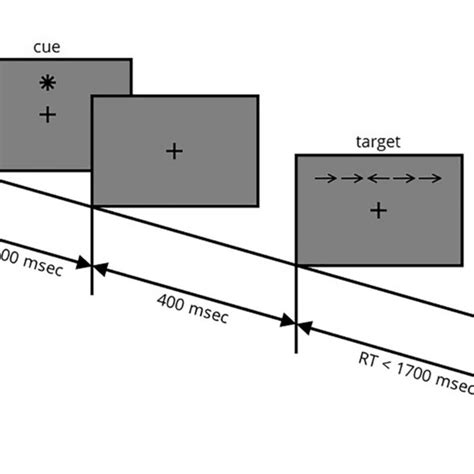 Attention Network Test The Fixation Cross Size 23° Was Shown On