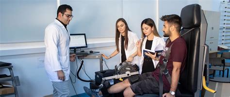 Physiotherapy And Rehabilitation Undergraduate Program Turkish