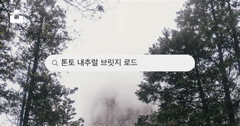 톤토 내추럴 브리지 로드 사진 Unsplash에서 무료 이미지 다운로드