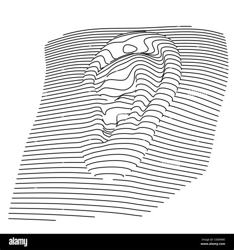 Contour Map Icon Small