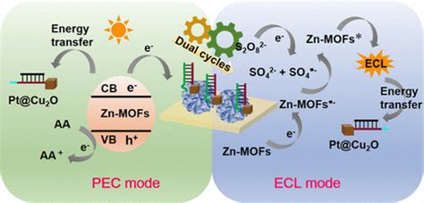 Energy Transfer Based Dual Mode Pec Ecl Biosensor For Acetamiprid Analysis Sensitized By Two