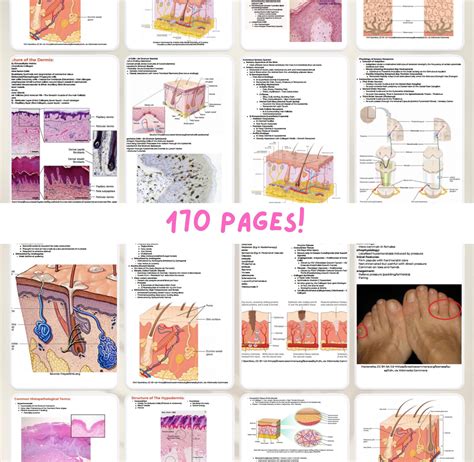 Clinical Dermatology Notes With Examples Of Exam Questions