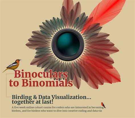 Birding And Data Visualization Flowingdata