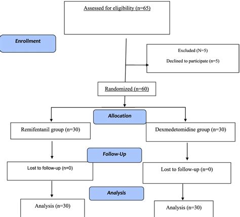Patient Enrollment And Randomization Flowchart Download Scientific Diagram