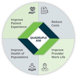Occupational Therapys Value In Provision Of Quality Care To Prevent