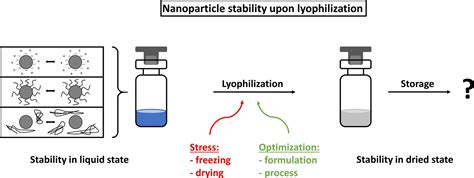 Freeze Drying Of Nanoparticles How To Overcome Colloidal Instability