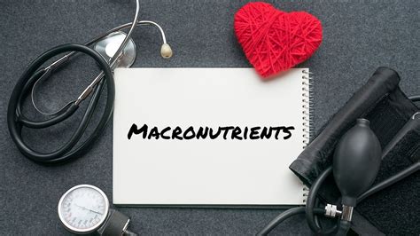 Macronutrients In Basic Nutrition
