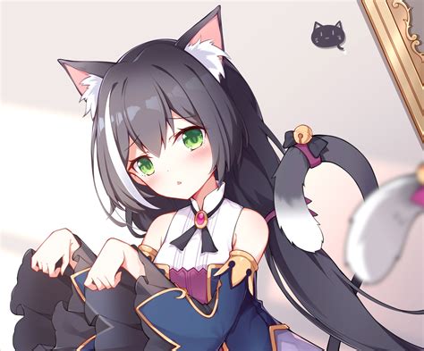 Anime Girls Kyaru Princess Connect Redive Hd Wallpaper Rare Gallery