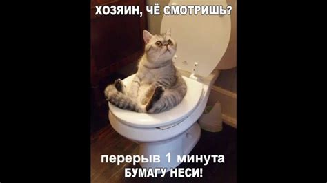 Kuckuc — Vk Видео Live