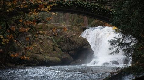 Discover Your Next Unforgettable Adventure In Bellingham Today