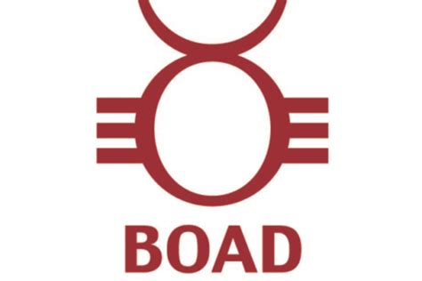Boad Recrute Consultant