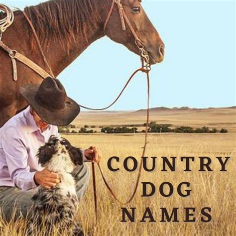 400 Country Dog Names With Meanings Hubpages