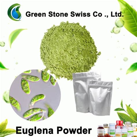Buy Euglena Powder Oline Pricesupplymanufacturer From Green Stone Buy Euglena Powder Oline Pricesupplymanufacturer From Green Stone