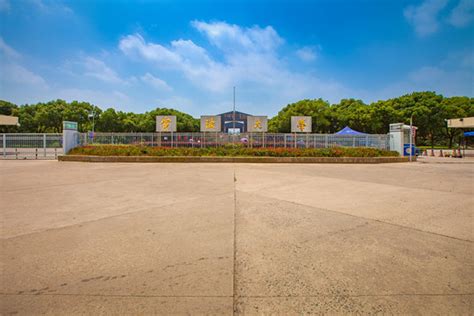 宁波大学校训图片素材 宁波大学校训设计素材 宁波大学校训摄影作品 宁波大学校训源文件下载 宁波大学校训图片素材下载 宁波大学校训背景素材 宁波大学校训模板下载 搜索中心