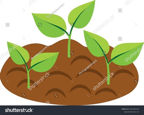 Cute Small Tiny Plant Vector Illustration Stock Vector Royalty Free