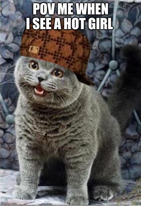 I Can Has Cheezburger Cat Imgflip
