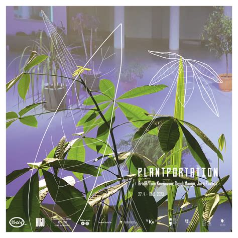 Plantportation Bridatom Kerševan Sendi Mango Jurij Pavlica Huiu