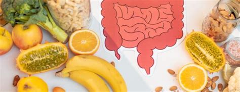 Nutrition And Inflammatory Bowel Disease Andersons Nutrition