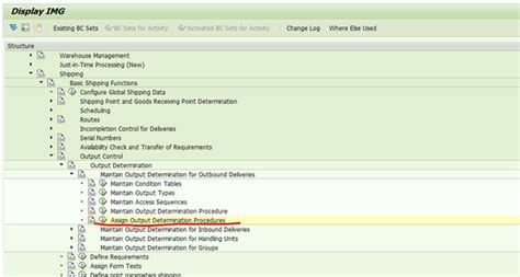 Output Type Sped Trigger Inbound Delivery After Pg Sap Community