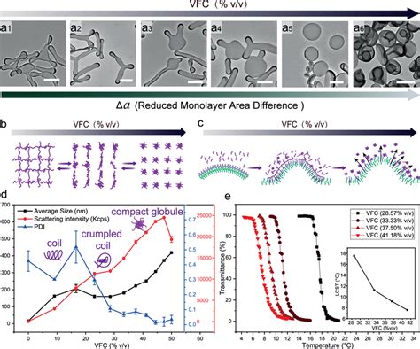 Reversible Pnipam Membrane Interaction Tem Image Of Polymersomes