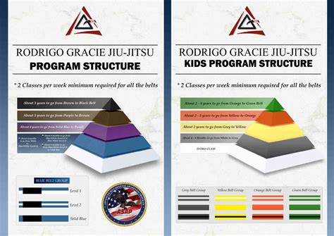 Bjj Affiliation And Association Rodrigo Gracie Jiu Jitsu