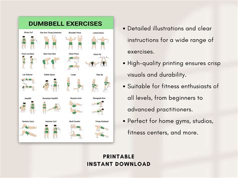 Dumbbell Workout Dumbbell Workout Chart Dumbbell Exercises Dumbbell Exercise Chart Dumbbell