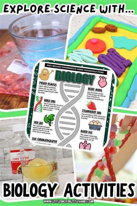 Biology Science Project