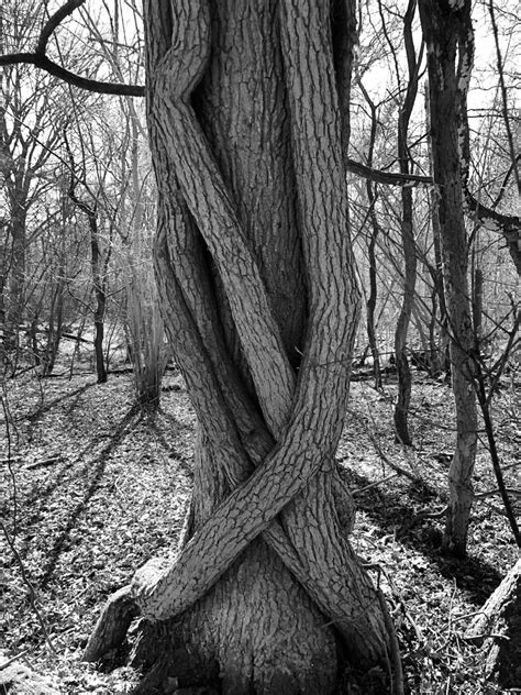 Solve Die Prignitz Umschlungen Jigsaw Puzzle Online With 300 Pieces