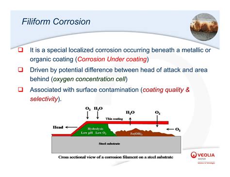 Basics Of Corrosion And Types For Information Pdf