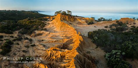 Broken Hill And View To La Jolla Torrey Pines State Reserve San Diego