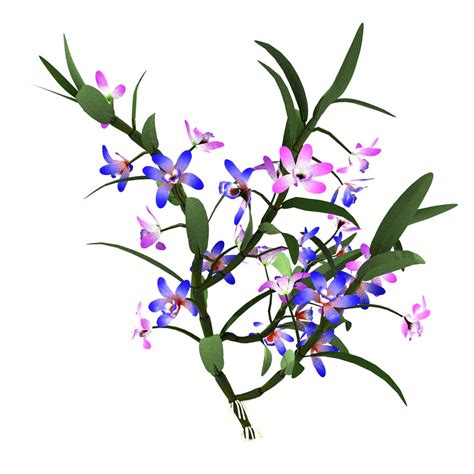 Dendrobium Flower Model Turbosquid 2008899