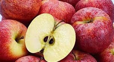 Apple Fruit At 12000 Inr In Daund Maharashtra N B Agrosoft Pvt Ltd
