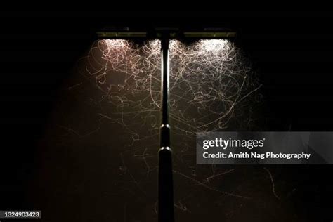 Bug Glasses Photos And Premium High Res Pictures Getty Images