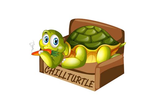 Chillturtle By Easel Graphics ইজেল গ্রাফিক্স On Dribbble