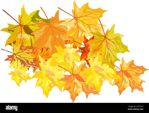 Autumn Element For Creating Great Fall Design Vector Illustration Stock Vector Image And Art Alamy