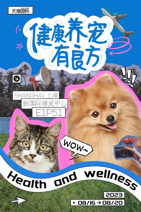 健康养宠为什么成为了时代的必要？这里有一些你需要了解的 理想生活实验室 为更理想的生活